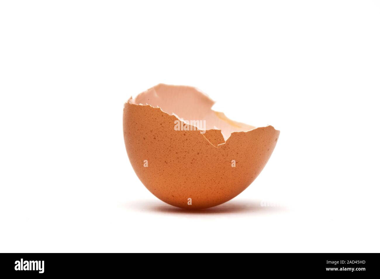 Eggshell on white background Stock Photo - Alamy