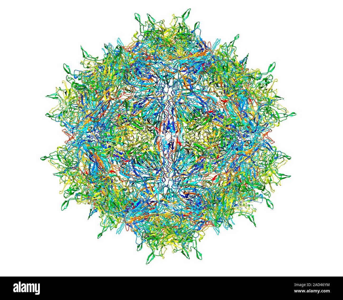 Zika virus particle, molecular structure shown as ribbons. This is an ...