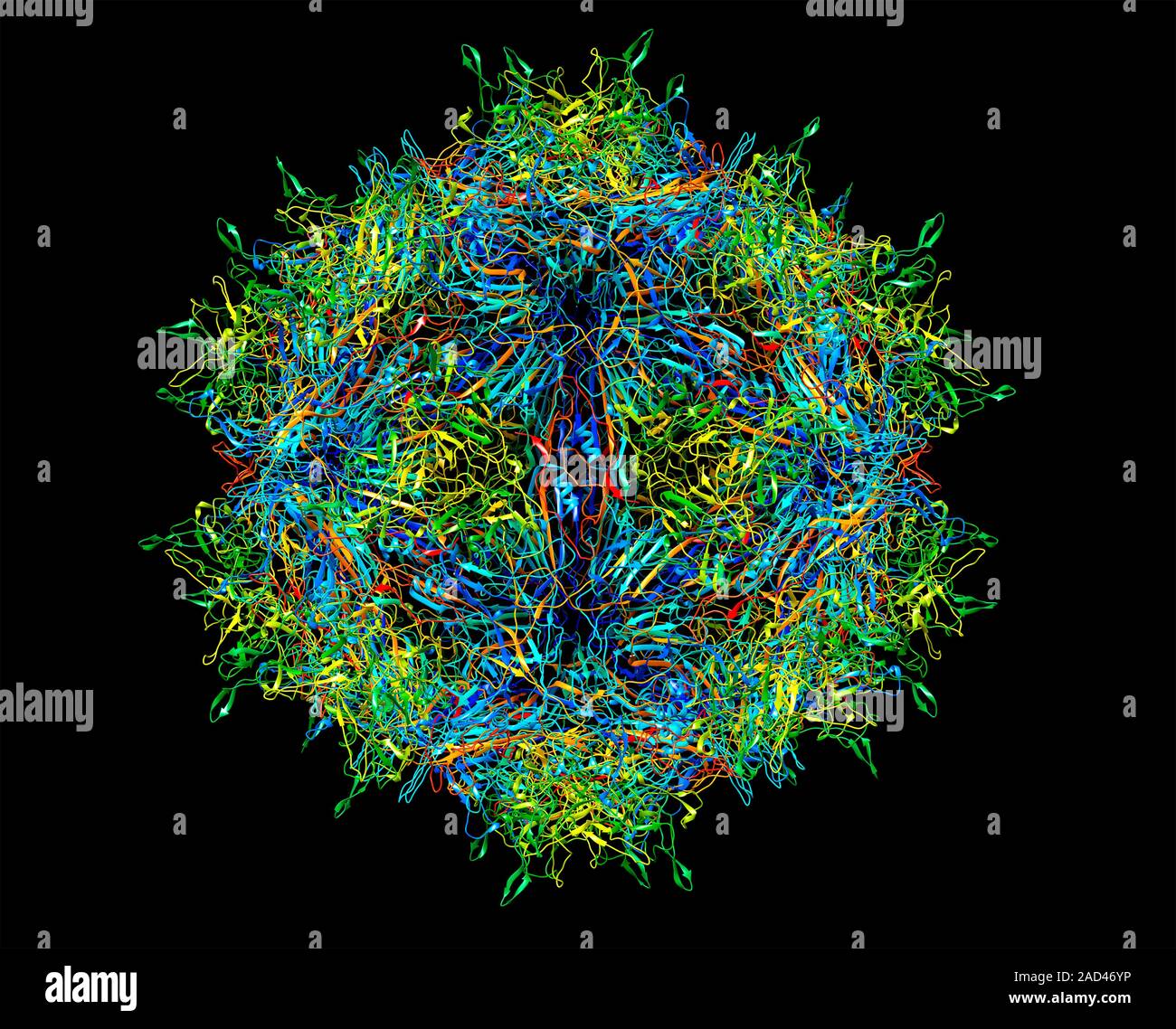 Zika virus particle, molecular structure shown as ribbons. This is an ...