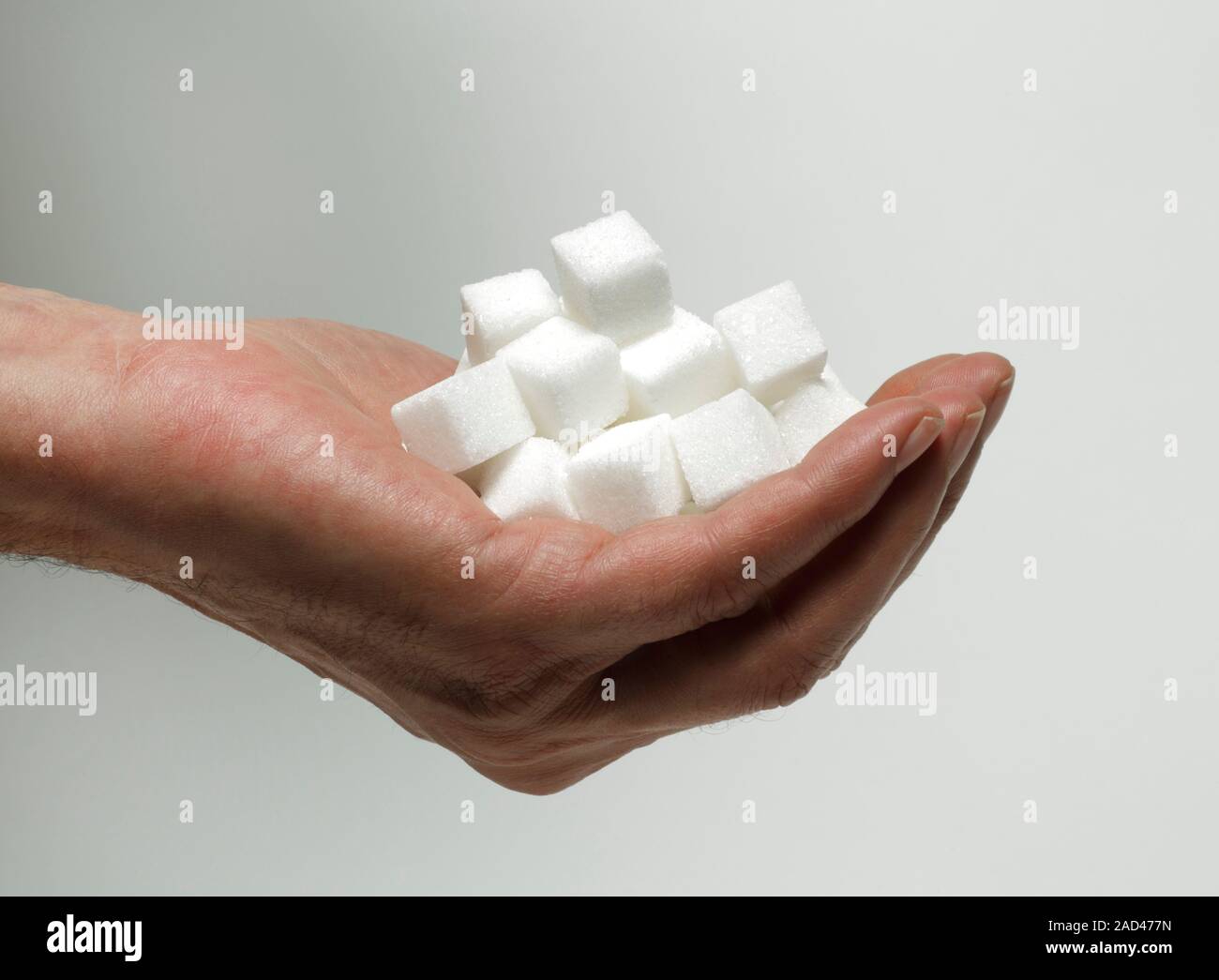 Sugar consumption, conceptual image. Hand holding a pile of sugar cubes ...