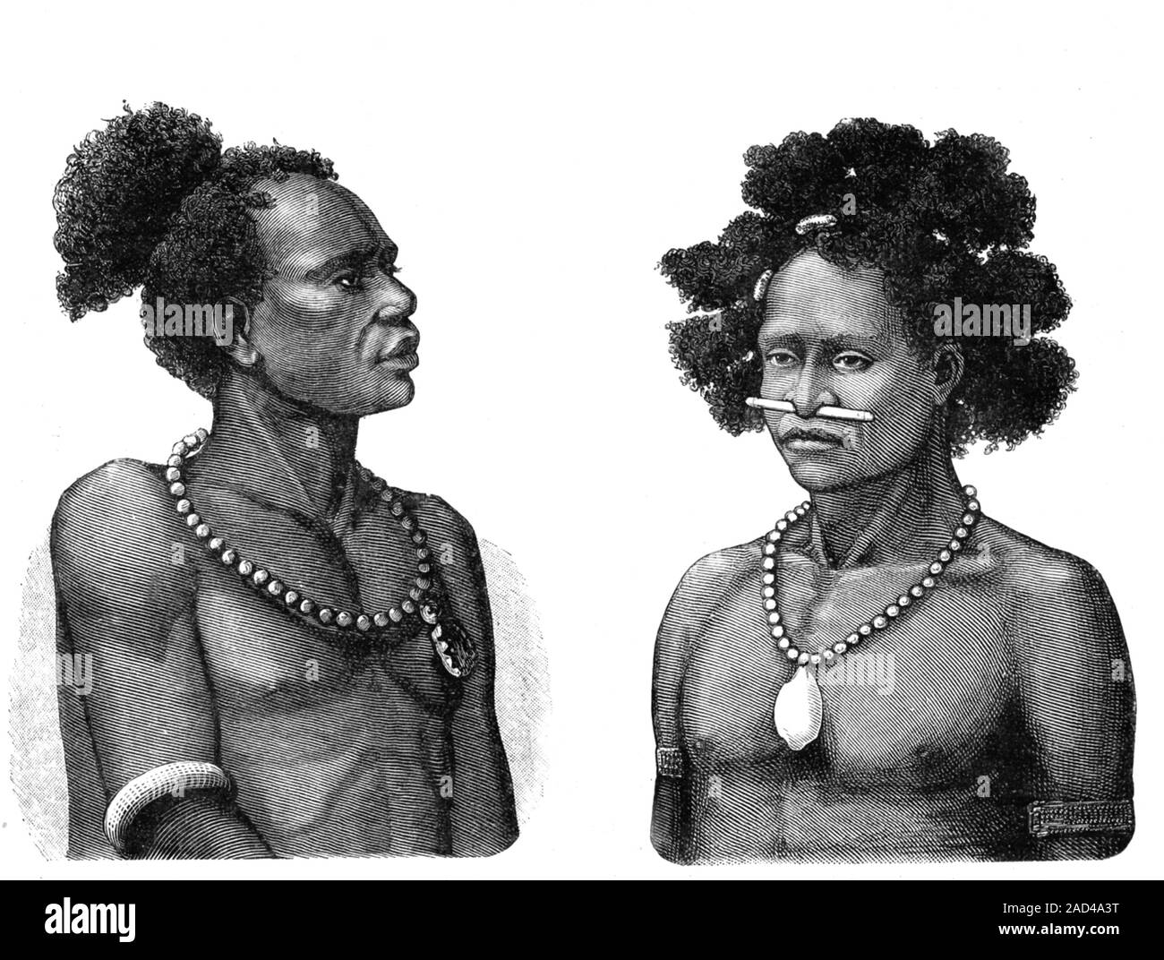19th Century Papuan people. 1868 illustration of Papuan men from New ...