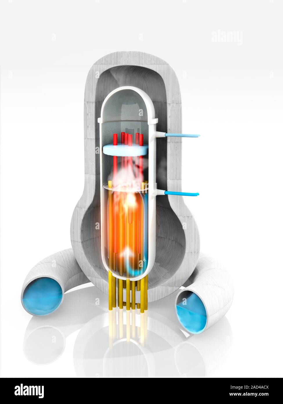 Boiling water nuclear reactor. Cutaway computer illustration showing ...