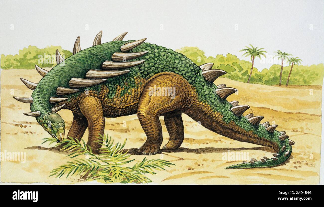Dinosaur eating leaves. Polacanthus Stock Photo - Alamy