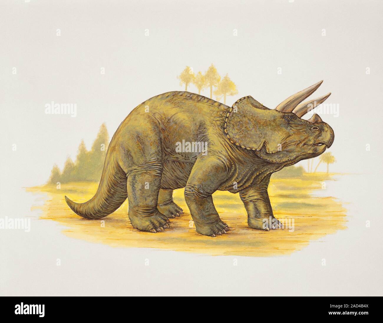 Side profile of a dinosaur. Triceratops Stock Photo - Alamy