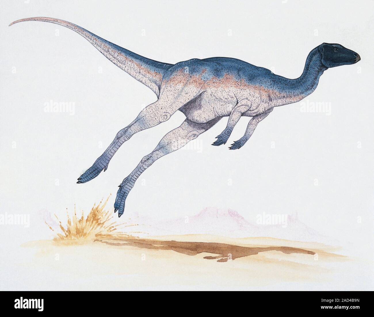 Side profile of dinosaur jumping. Zephyrosaurus Stock Photo - Alamy