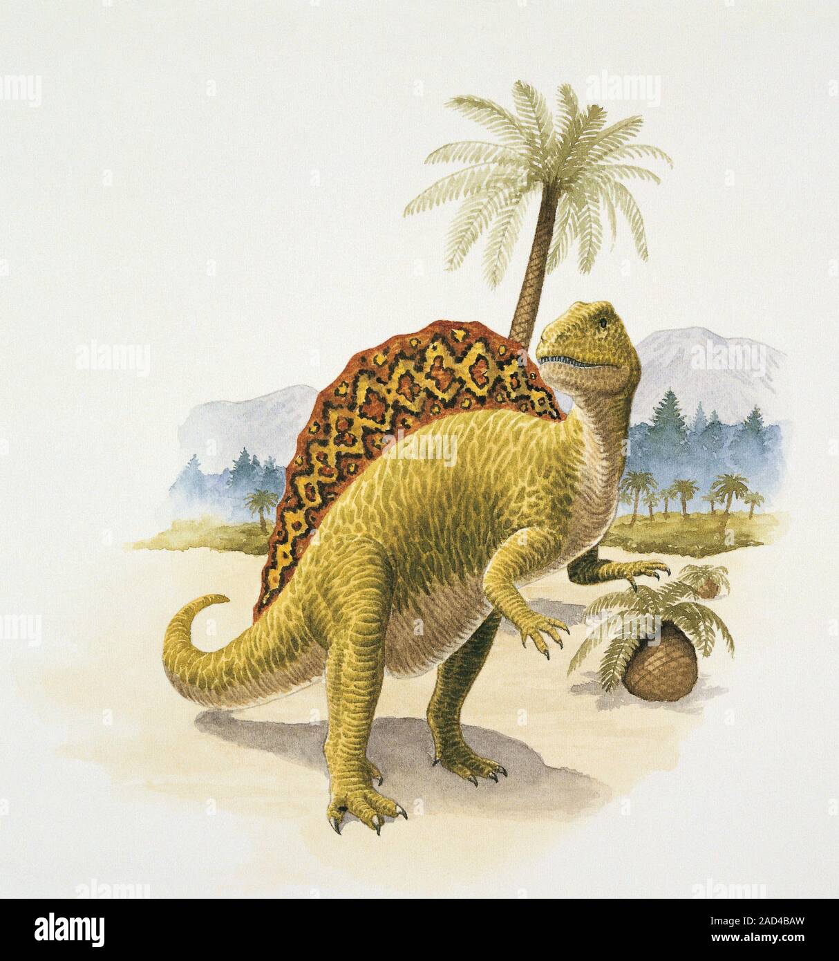 Spinosaurus dinosaur standing in the forest Stock Photo - Alamy