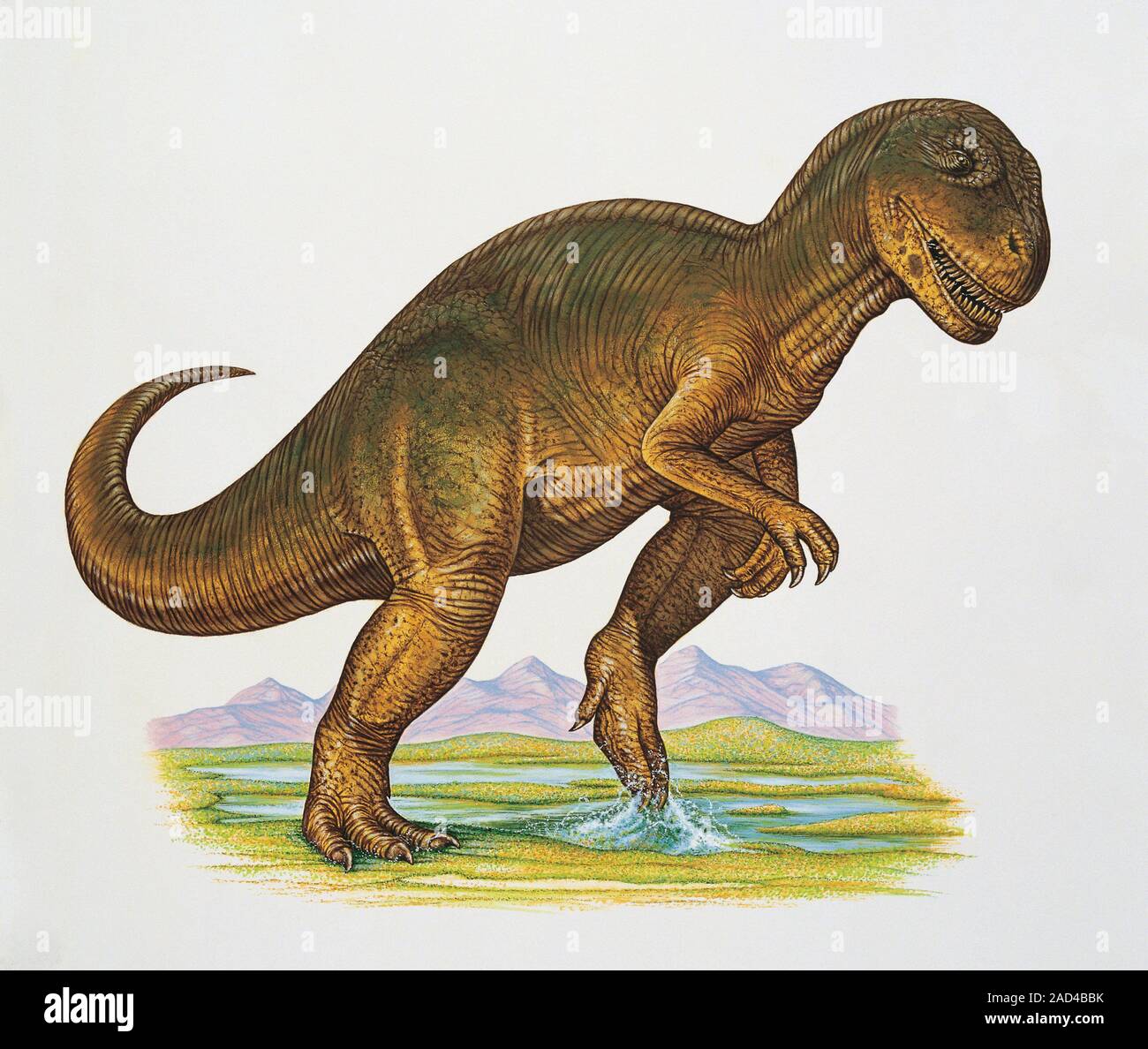 Walking With Dinosaurs Allosaurus