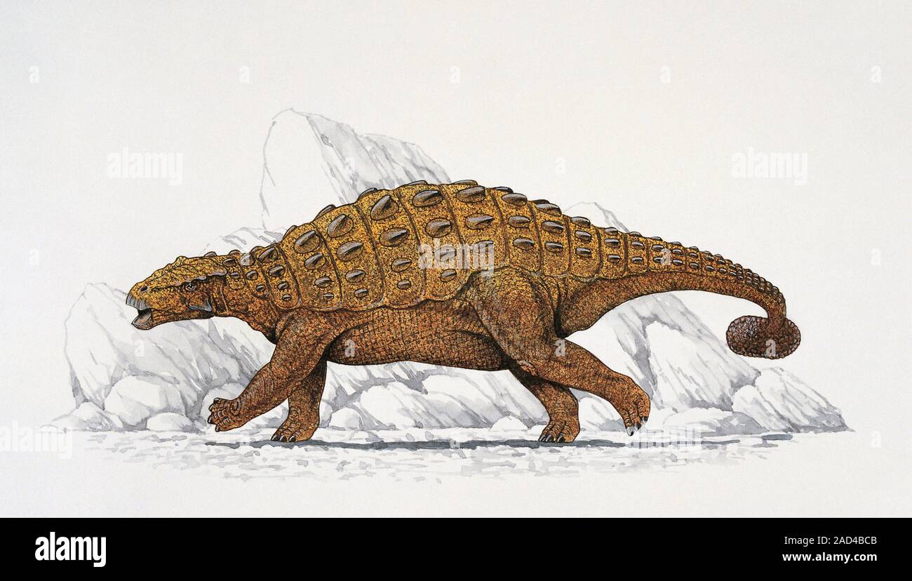 Side profile of a dinosaur walking. Pinacosaurus Stock Photo - Alamy