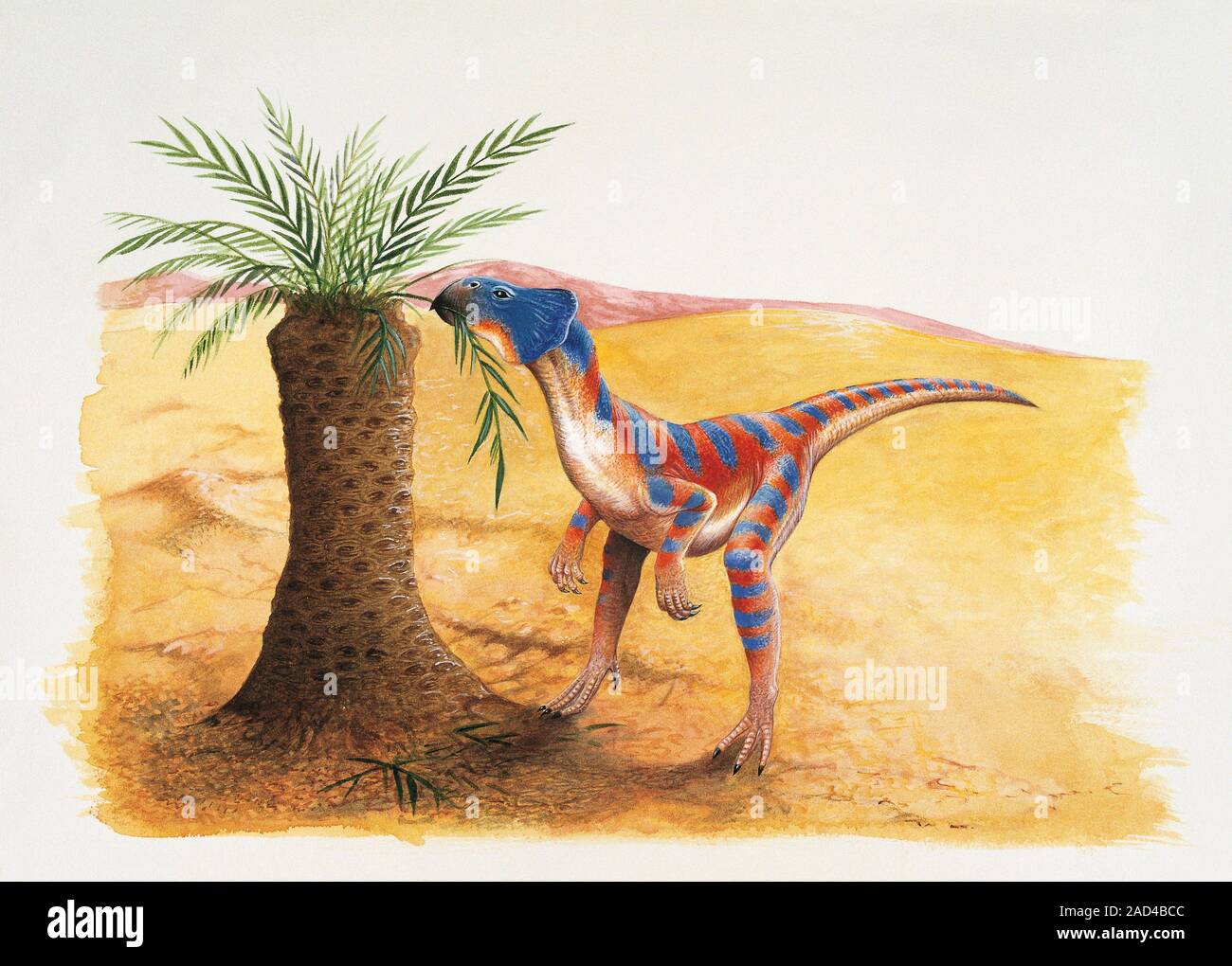 Microceratops dinosaur eating leaves of a tree Stock Photo - Alamy