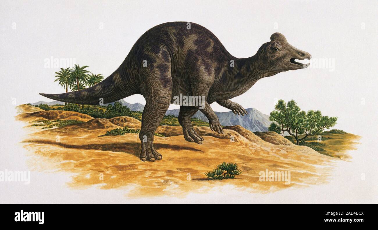 Side profile of a dinosaur. Nipponosaurus Stock Photo - Alamy