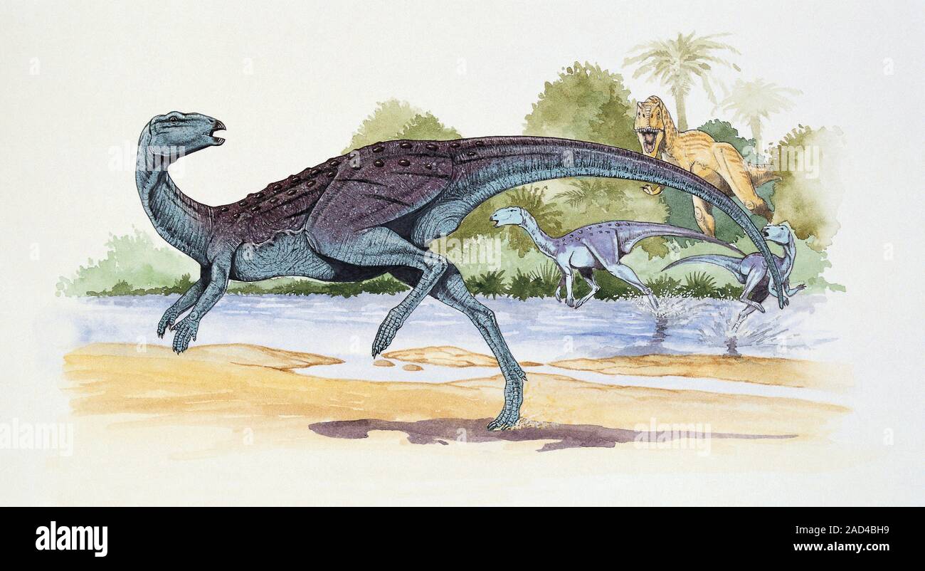 Dinosaurs hunting other dinosaurs. Thescelosaurus Stock Photo - Alamy