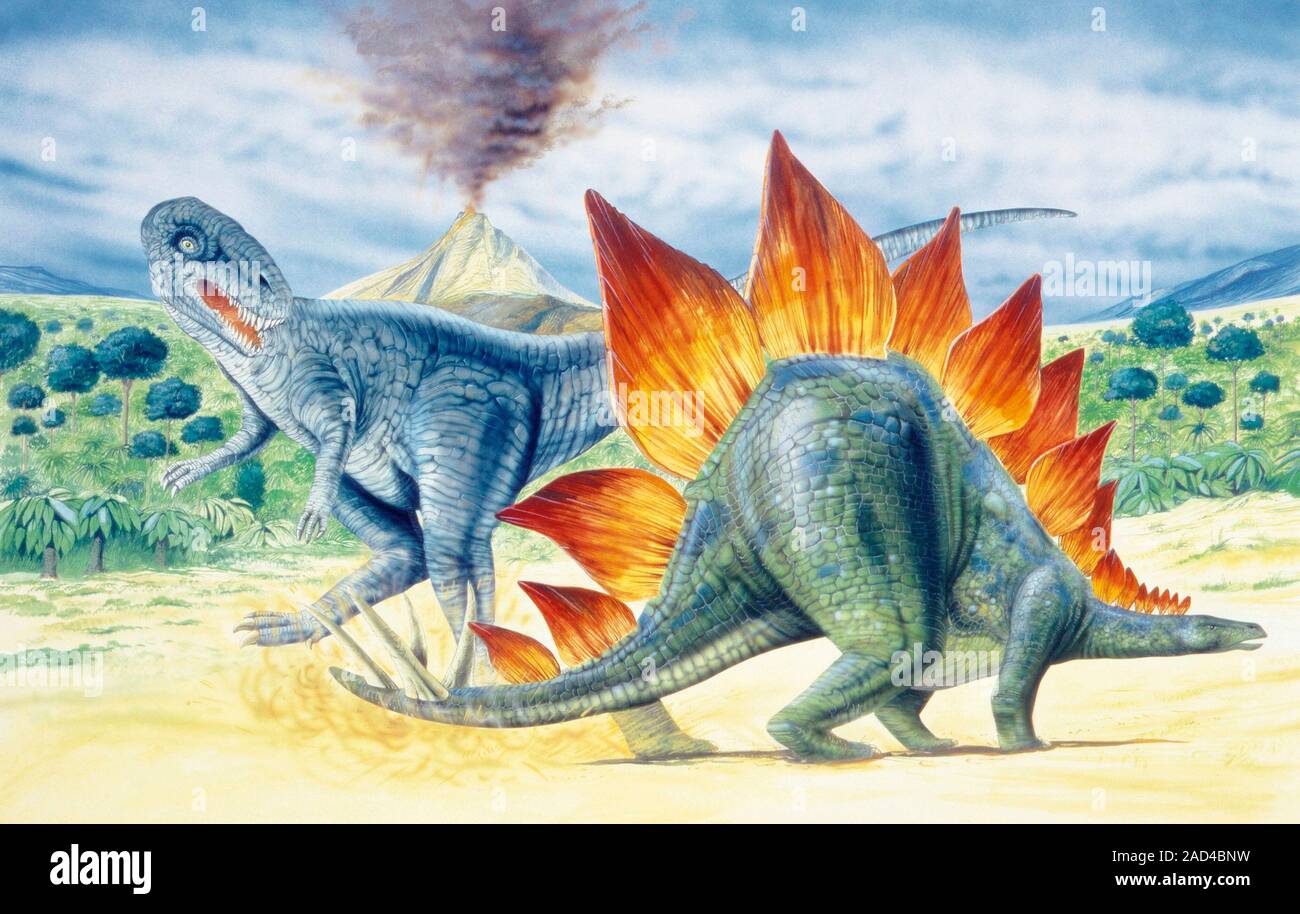 Illustration of Stegosaurus Stock Photo - Alamy