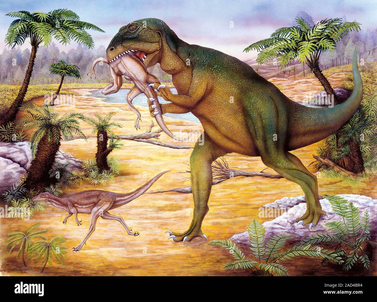 Illustration of Allosaurus hunting Stock Photo - Alamy