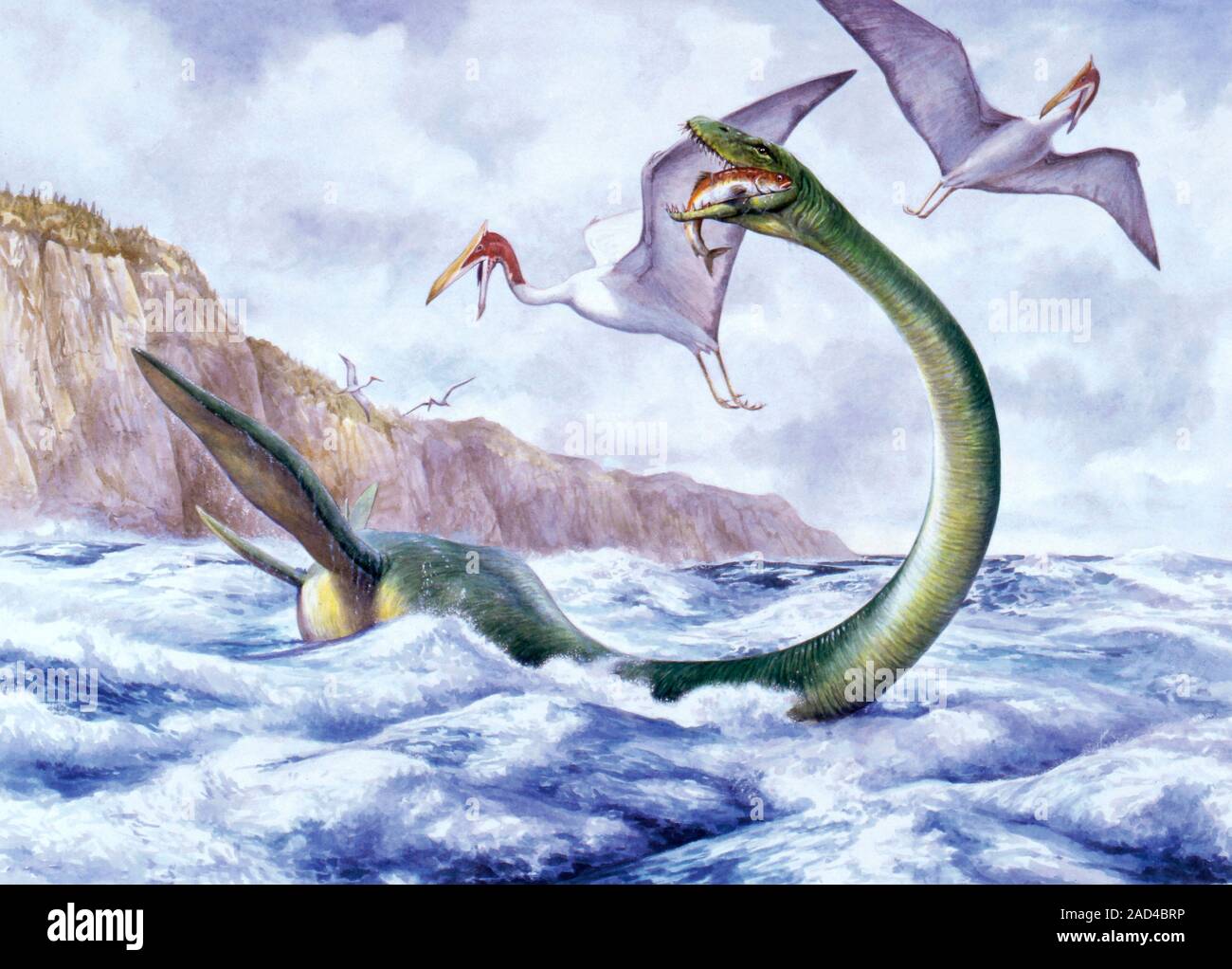Illustration of Elasmosaurus Stock Photo - Alamy