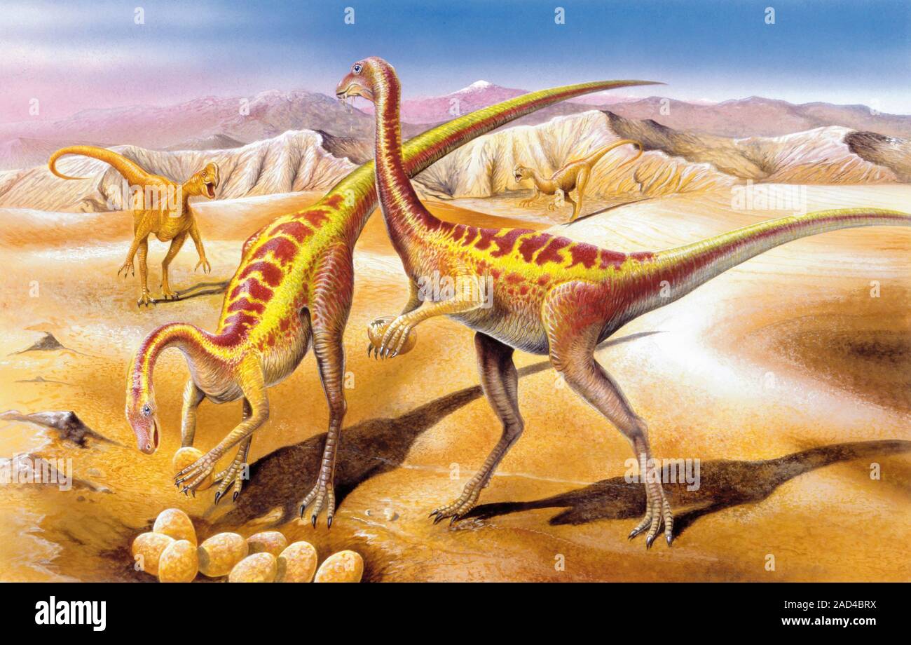 Illustration of Anserimimus by nest Stock Photo - Alamy