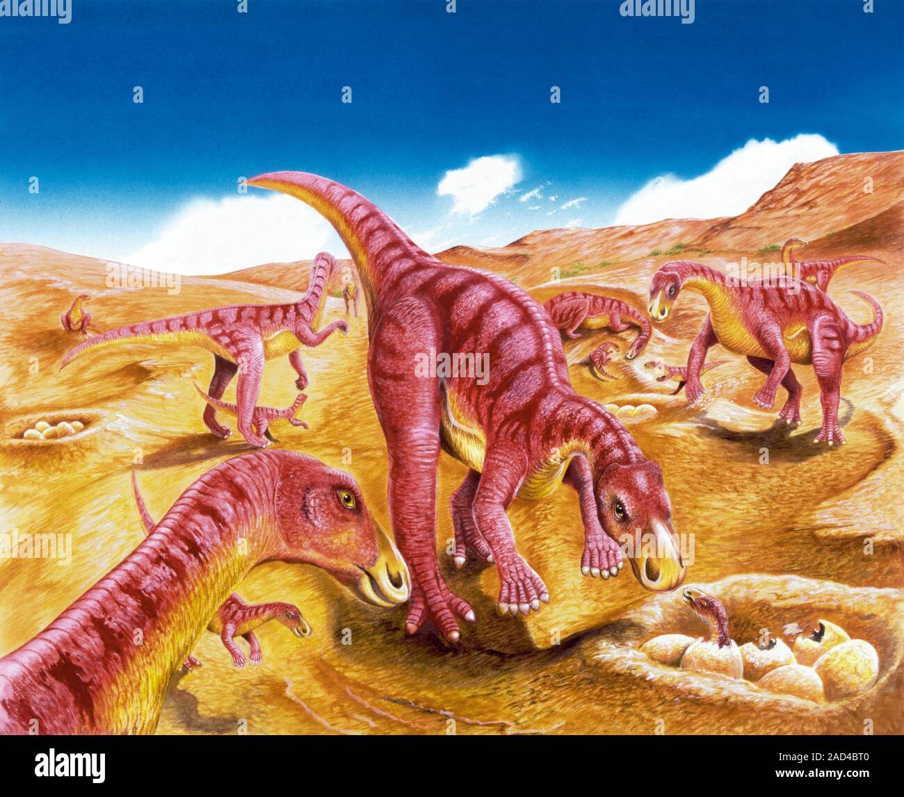 Illustration of Gilmoreosaurus Stock Photo - Alamy