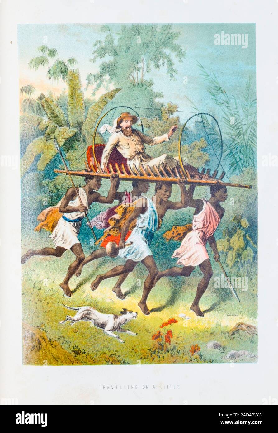 African travel on a litter. Illustration of an explorer in Africa being ...