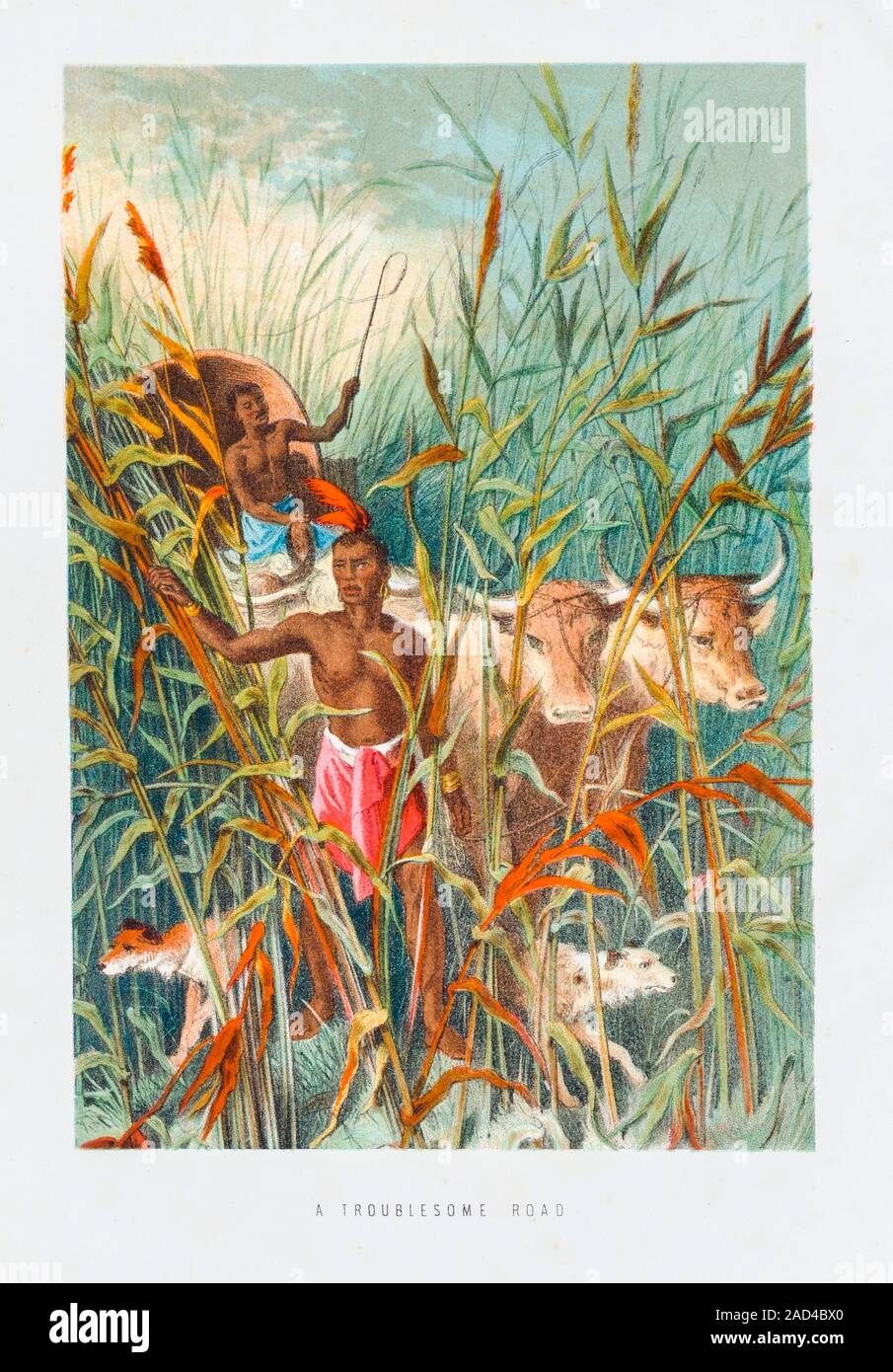 African ox wagon travel. Illustration of travellers using an ox wagon ...