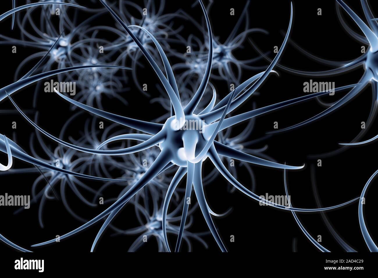 Neural network. Computer illustration of interconnected nerve cells, or ...