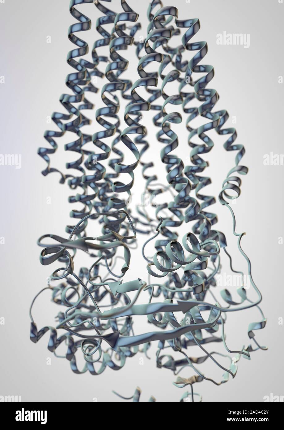Transport protein. Computer illustration showing the structure of a ...