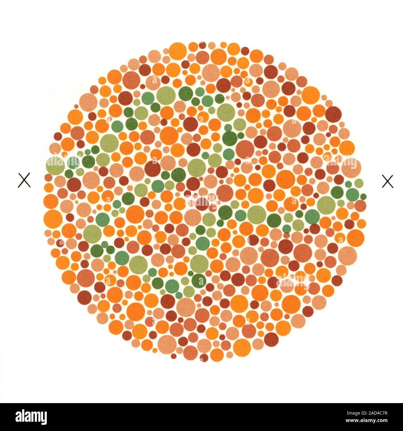Colour blindness test. Plate 11 of an Ishihara test. Invented by ...