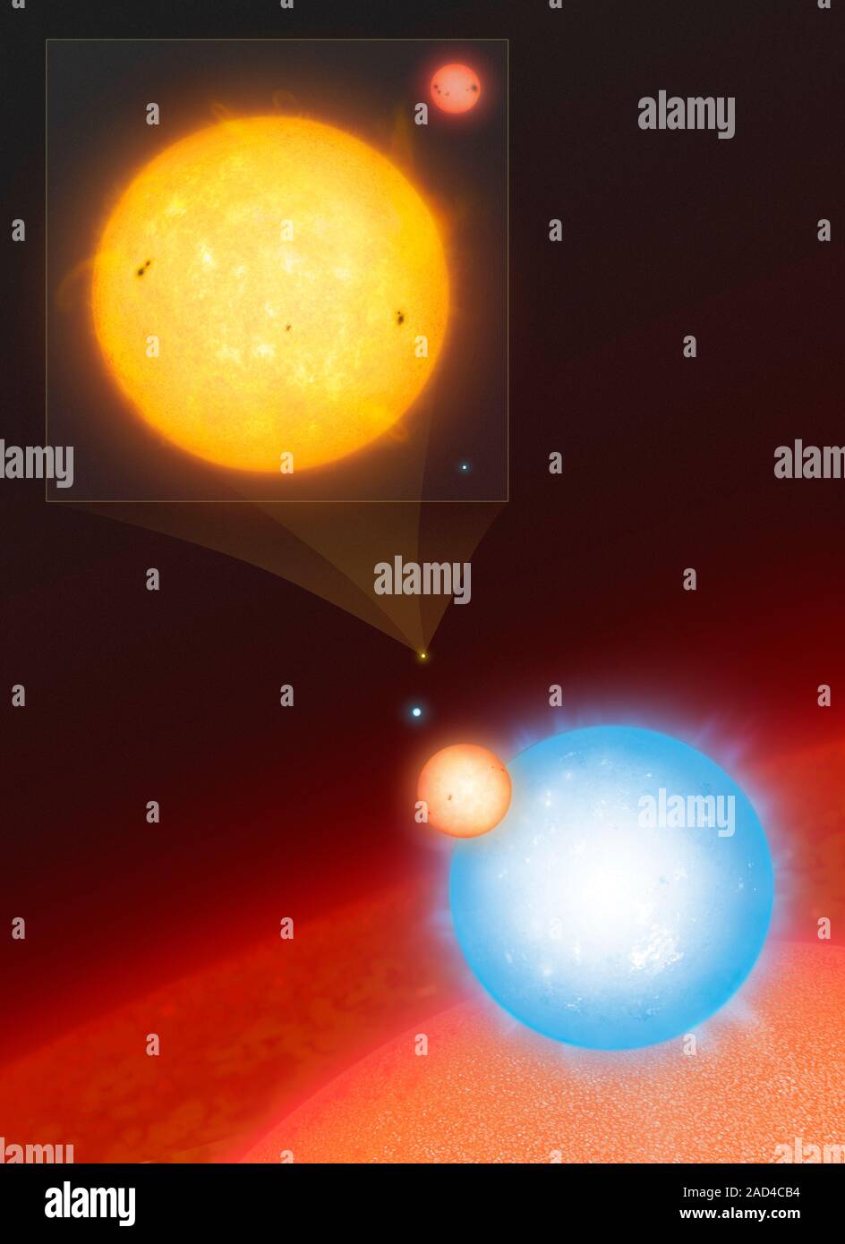 Diagram comparing the Sun with other seven types of stars, larger and ...