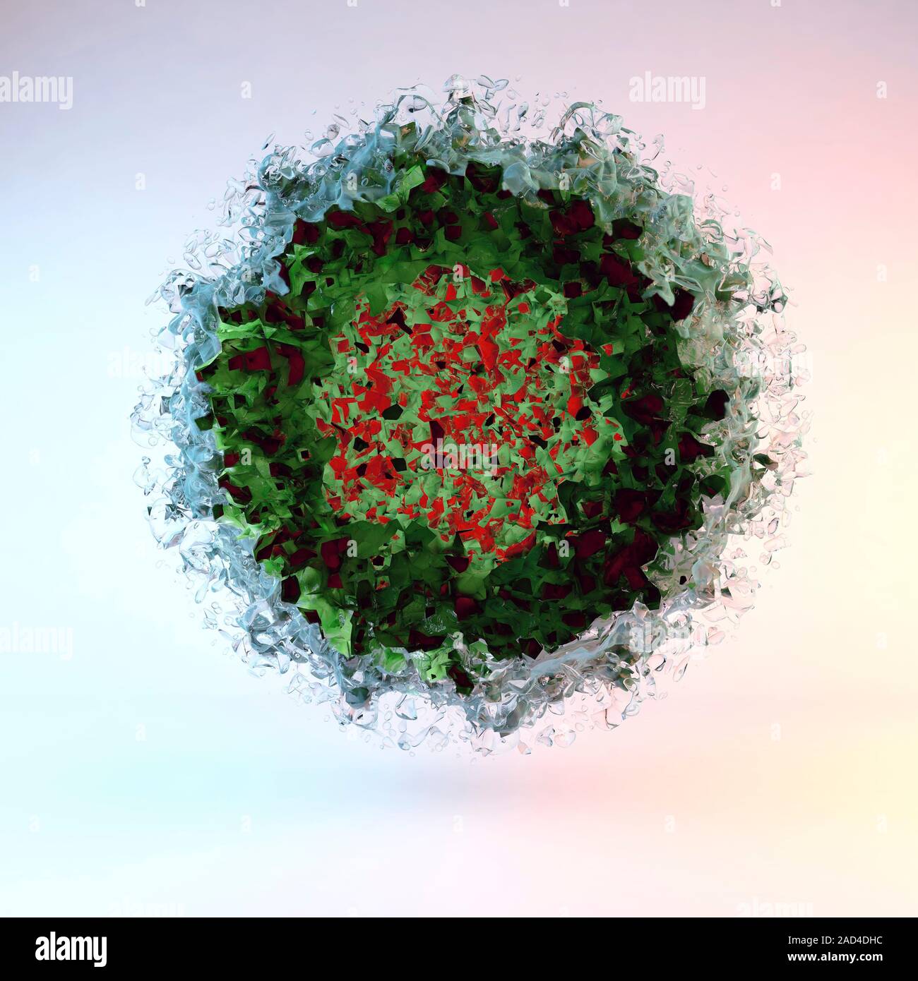 Human poliovirus, cutaway molecular model. This enterovirus causes ...