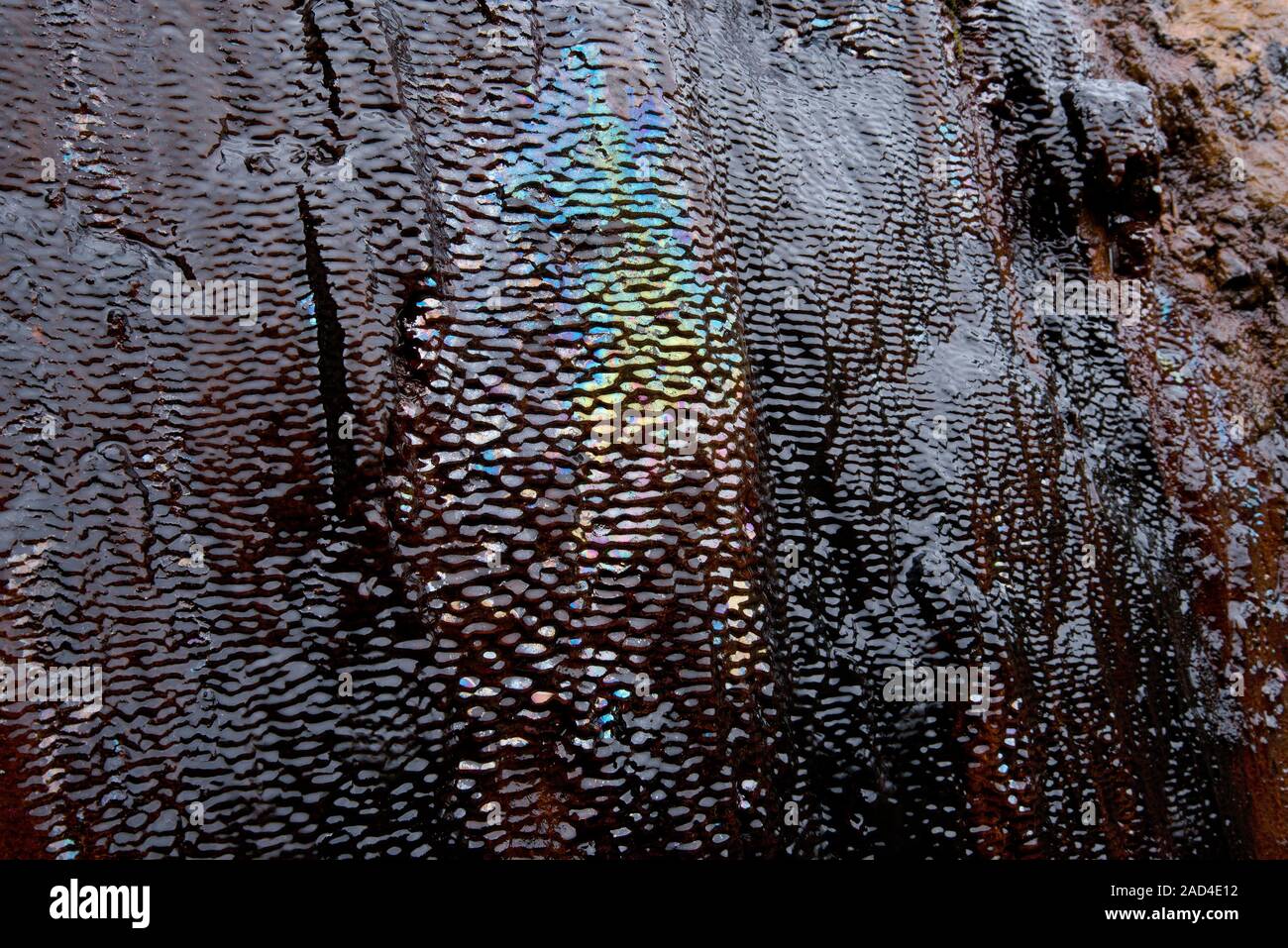 Natural oil seep. View of oil seeping from a rockface at a quarry in ...