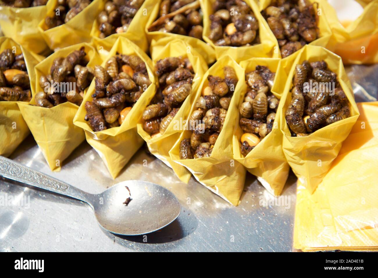 Fried cicadas. Bags of fried cicadas (superfamily Cicadoidea) being ...