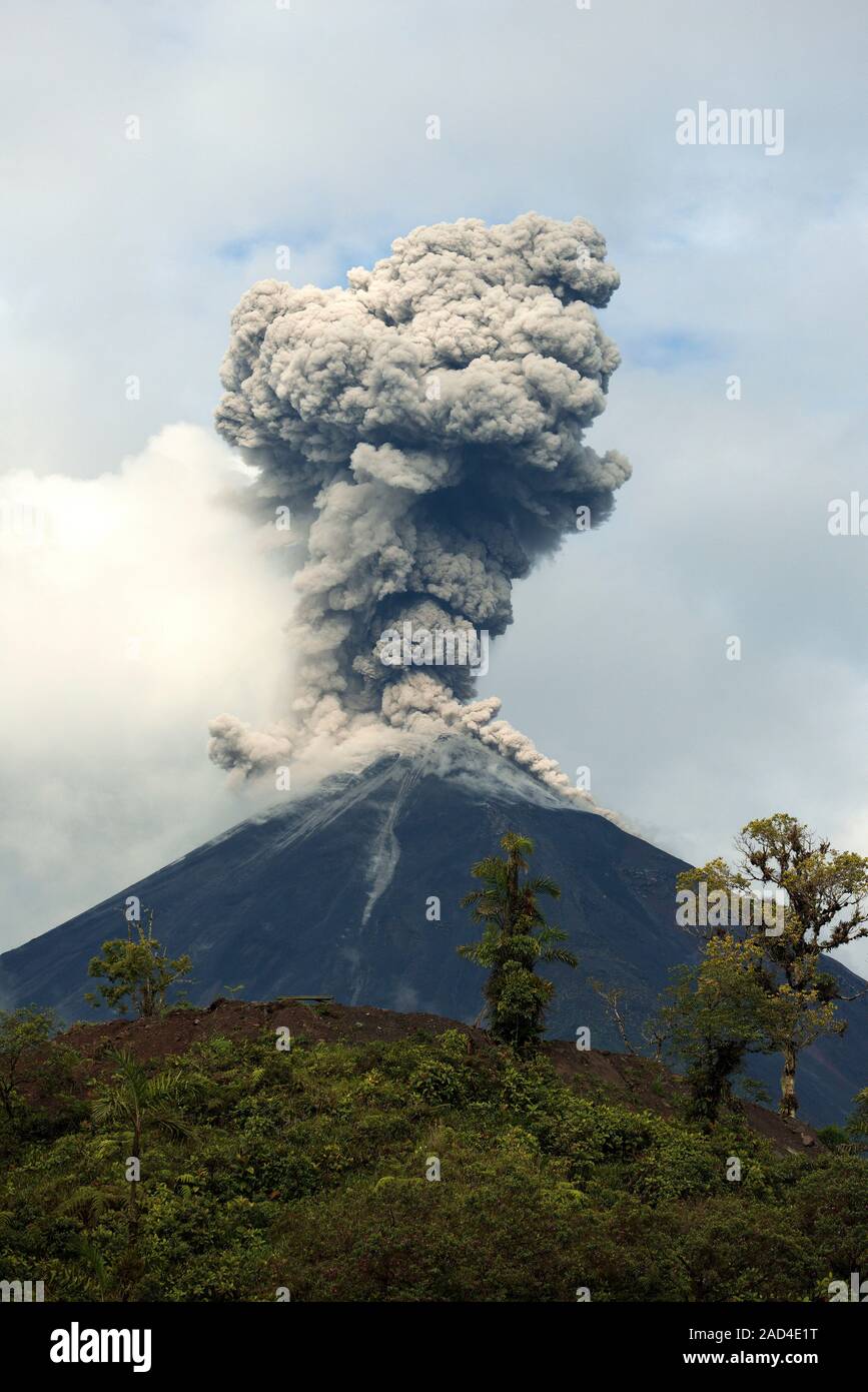 Reventador volcano erupting. View of the Reventador stratovolcano ...