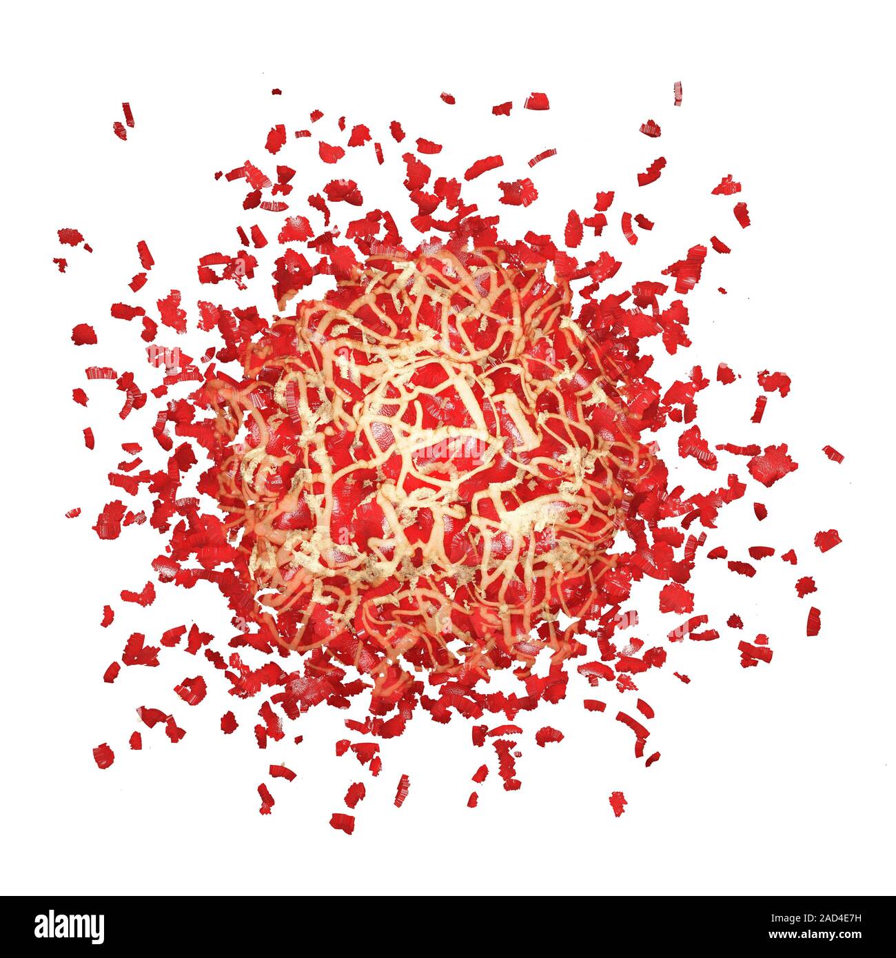 Computer artwork depicting a blood clot (consisting of red blood cells ...