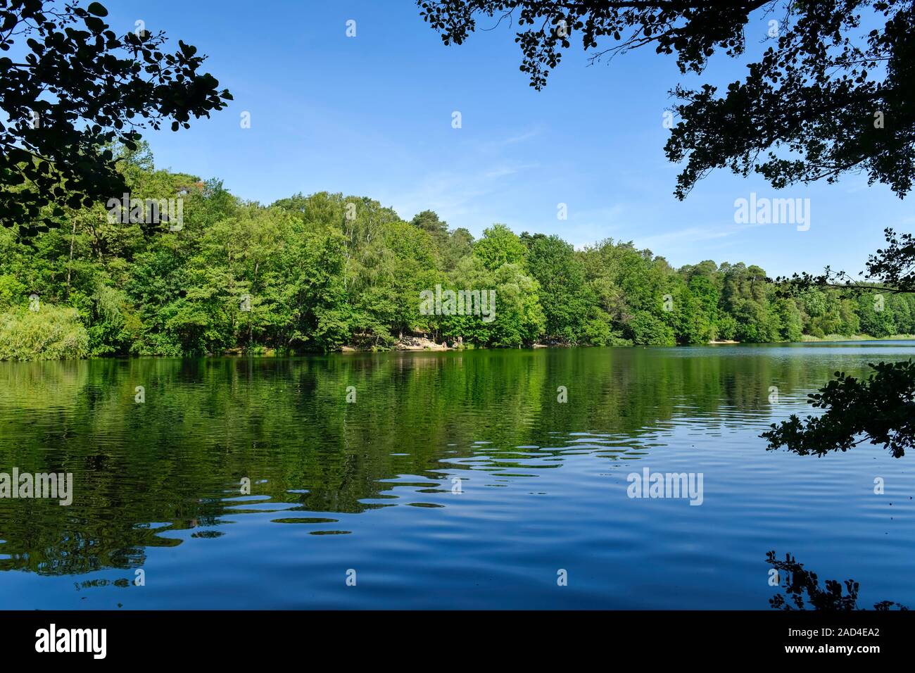Krumme Lanke, Zehlendorf, Steglitz-Zehlendorf, Berlin, Deutschland ...