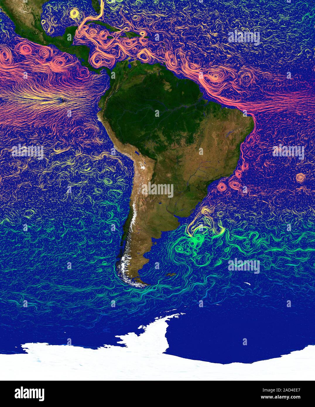 Ocean currents around South America. Satellite-based graphic showing ...