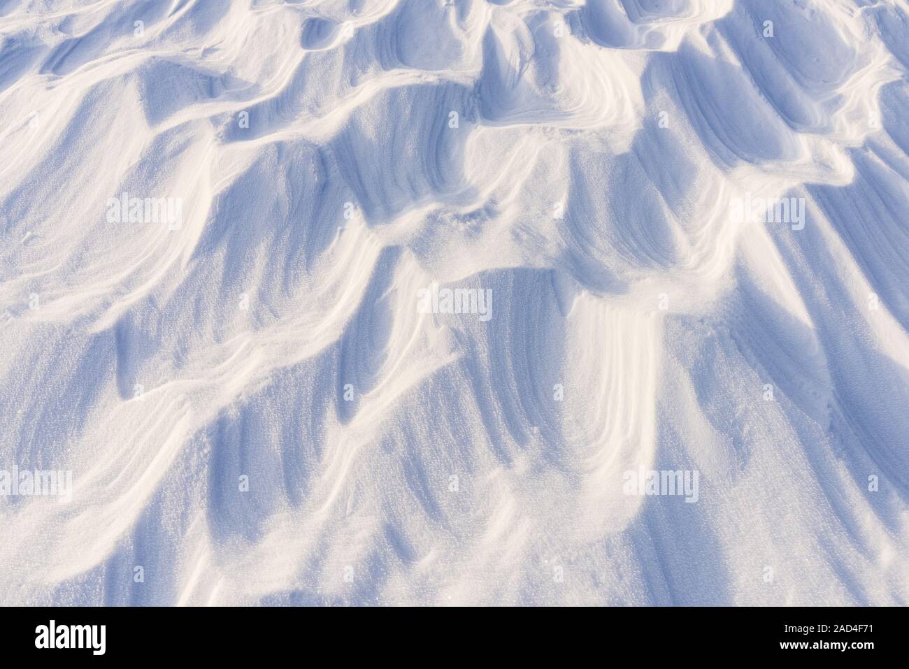 Wind blown snow formations (Sastrugi), Riisitunturi National park ...