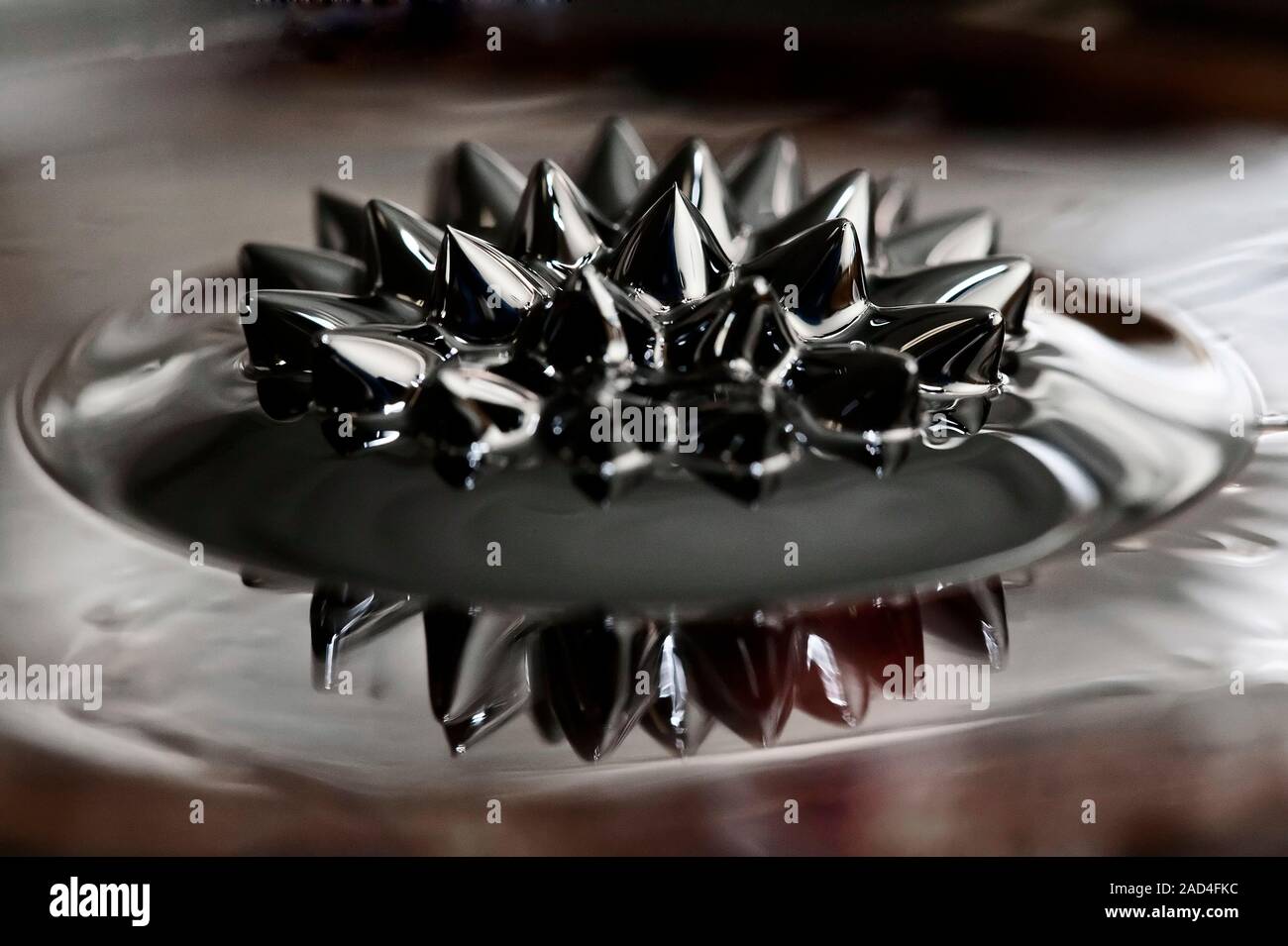 Ferrofluid research, close-up. A ferrofluid is a liquid mixed with ...