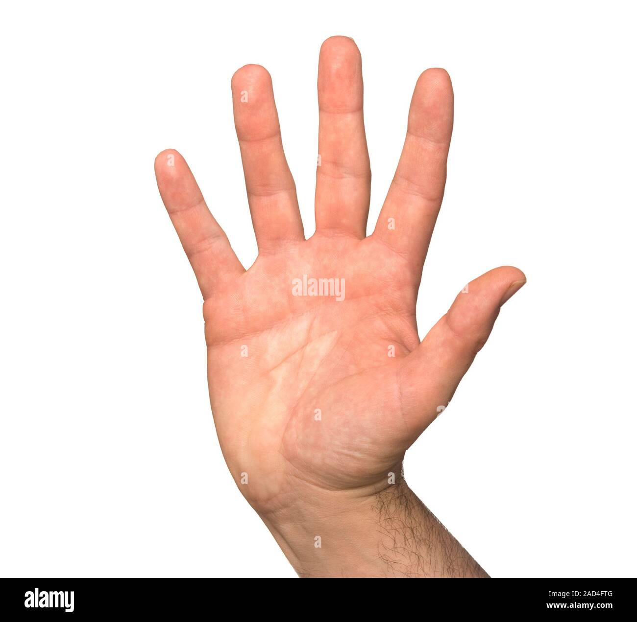 High five isolated on white background Stock Photo - Alamy