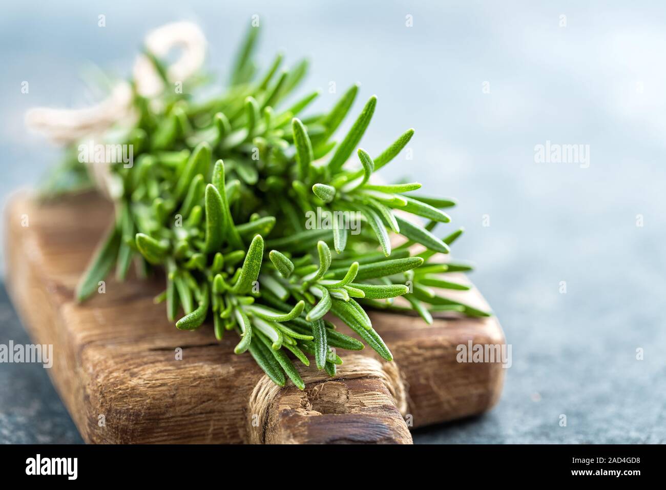 Fresh rosemary twigs Stock Photo - Alamy