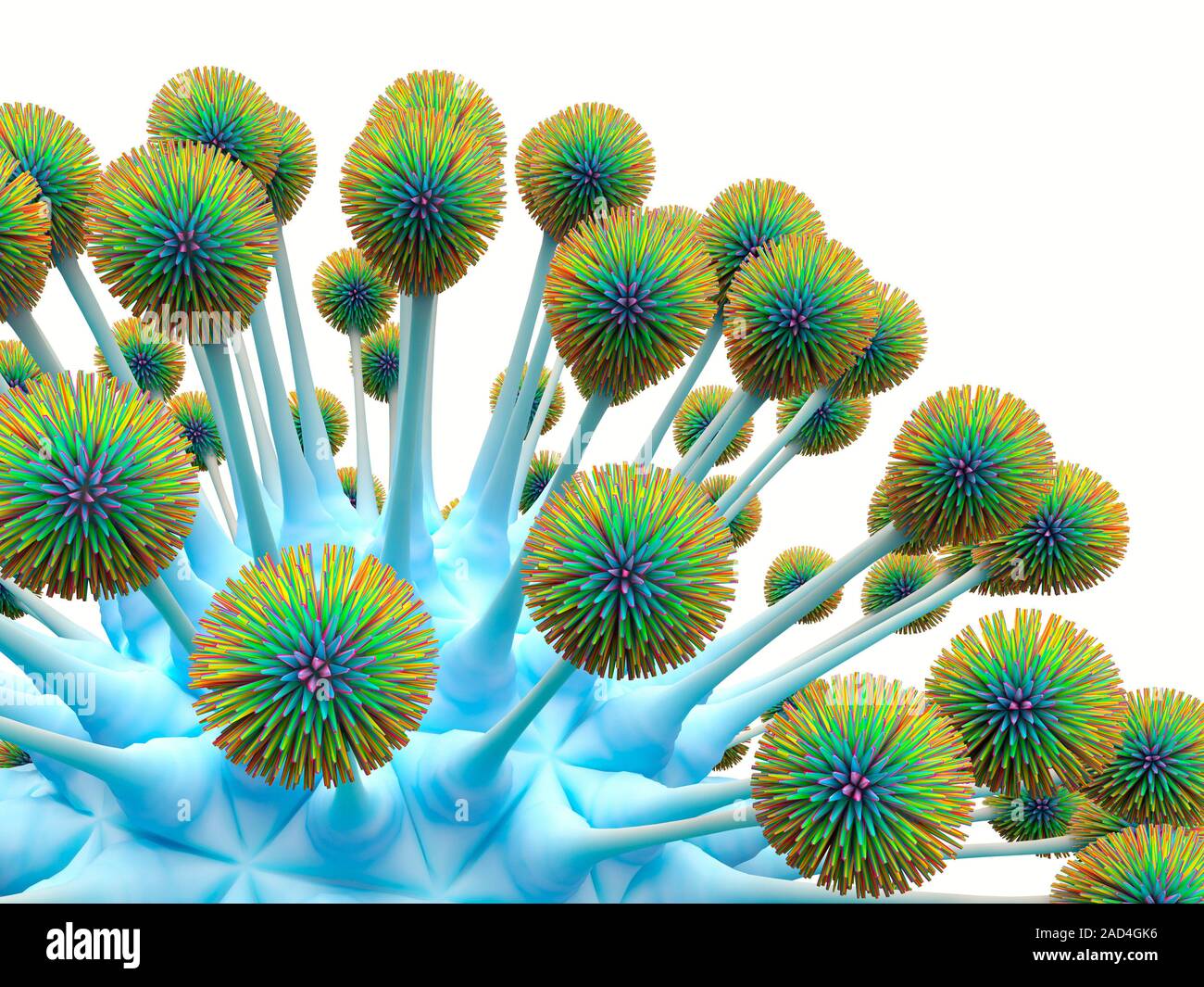 Computer artwork of a generic virus particle. (virion). This virus ...