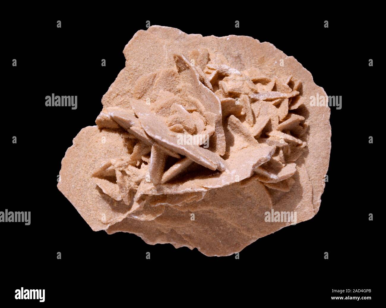 Desert roses are characteristic mineral aggregates formed by tabular ...
