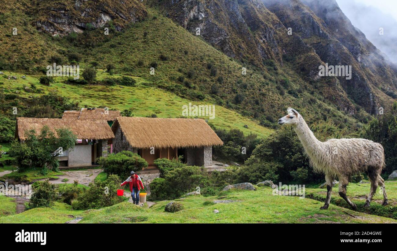 Inca Trail to Machu Picchu (also known as Camino Inca). Located in the ...