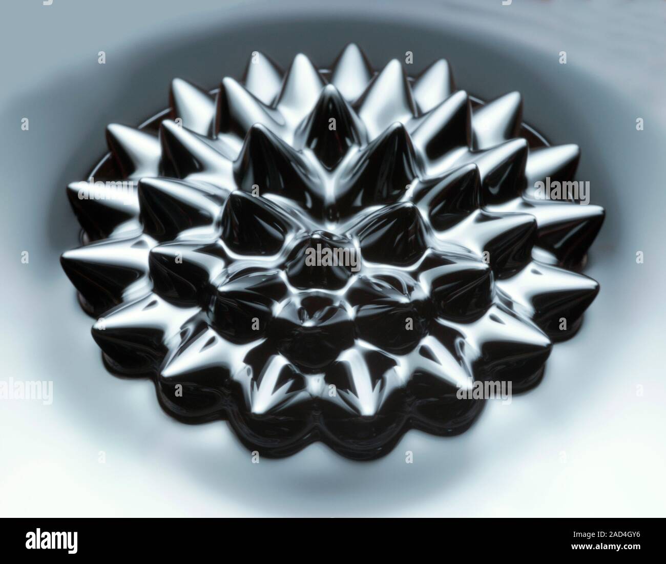 Ferrofluid in the magnetic field produced by a magnet. The peaks formed ...