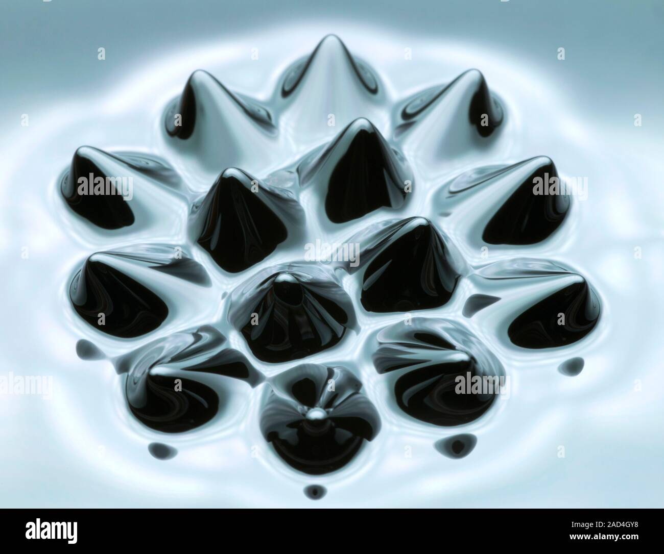 Ferrofluid in the magnetic field produced by a magnet. The peaks formed in the ferrofluid are ...