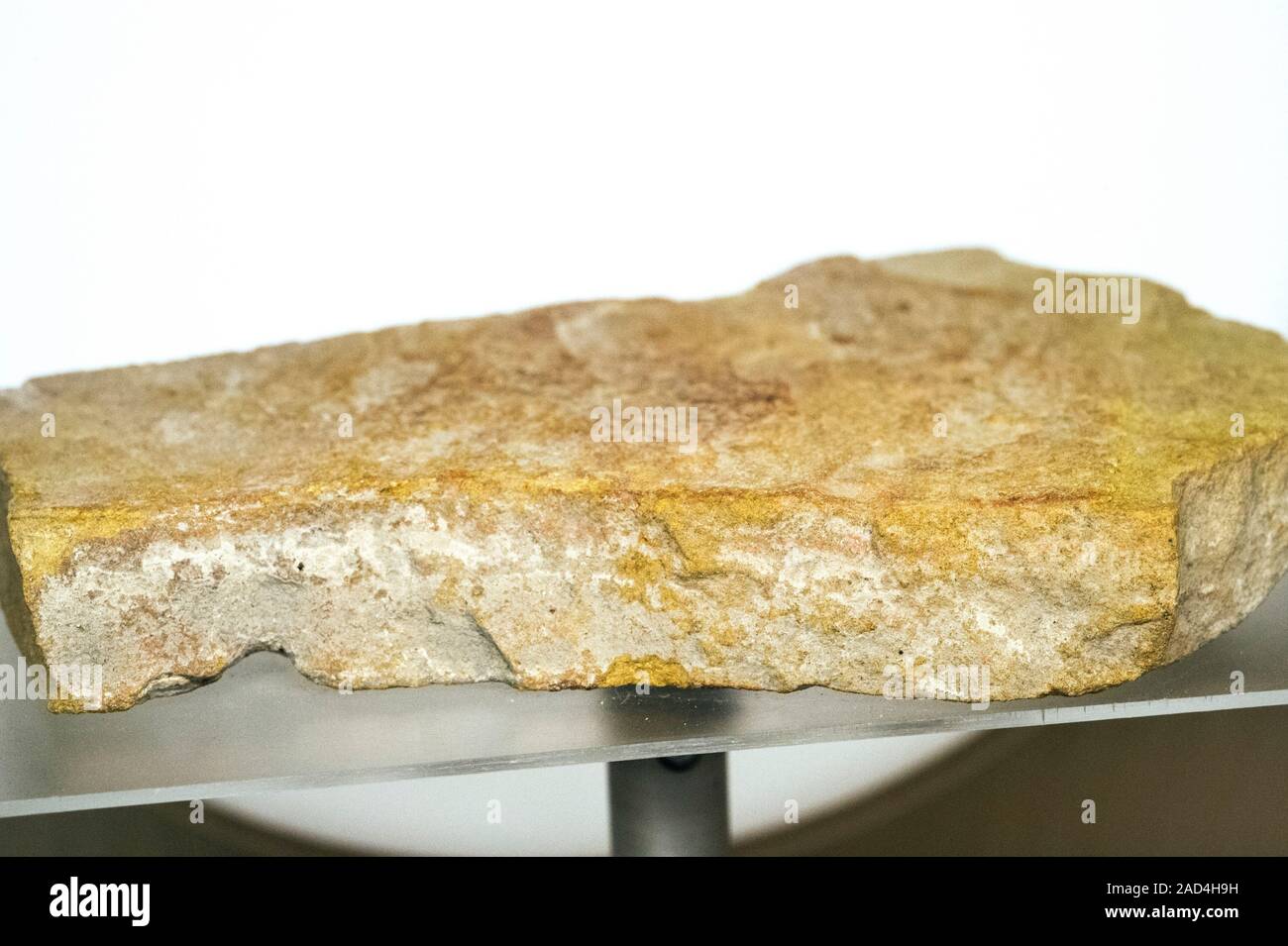 K-T boundary layer rock sample. The K-T boundary is a thin layer of ...
