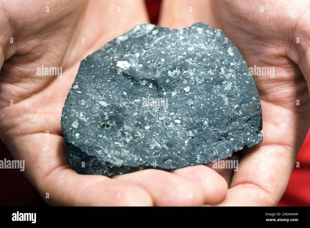 Chicxulub Crater impact sample. Specimen of impact melt rock with ...