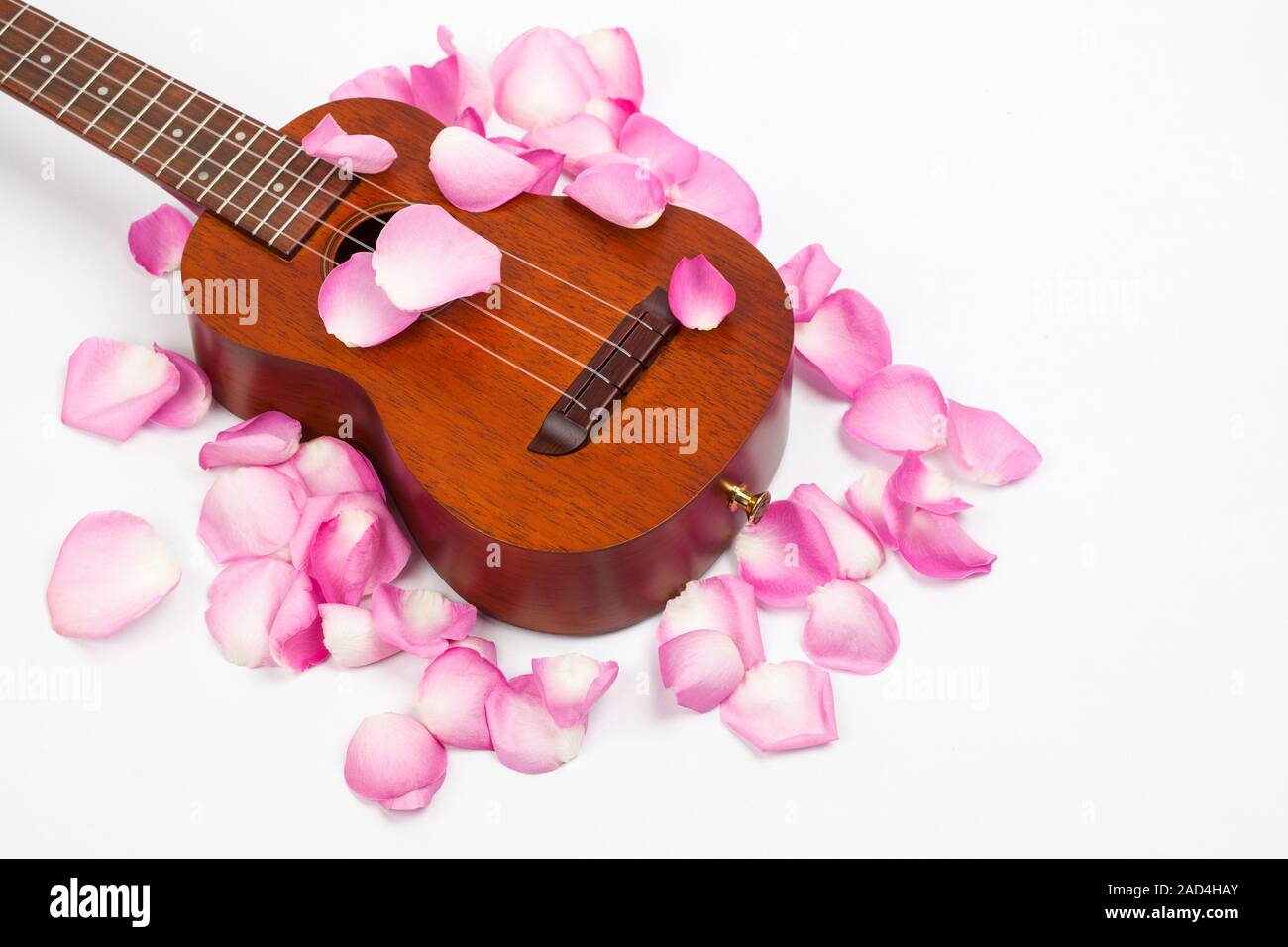 Ukulele with petals of pink rose on white background Stock Photo - Alamy