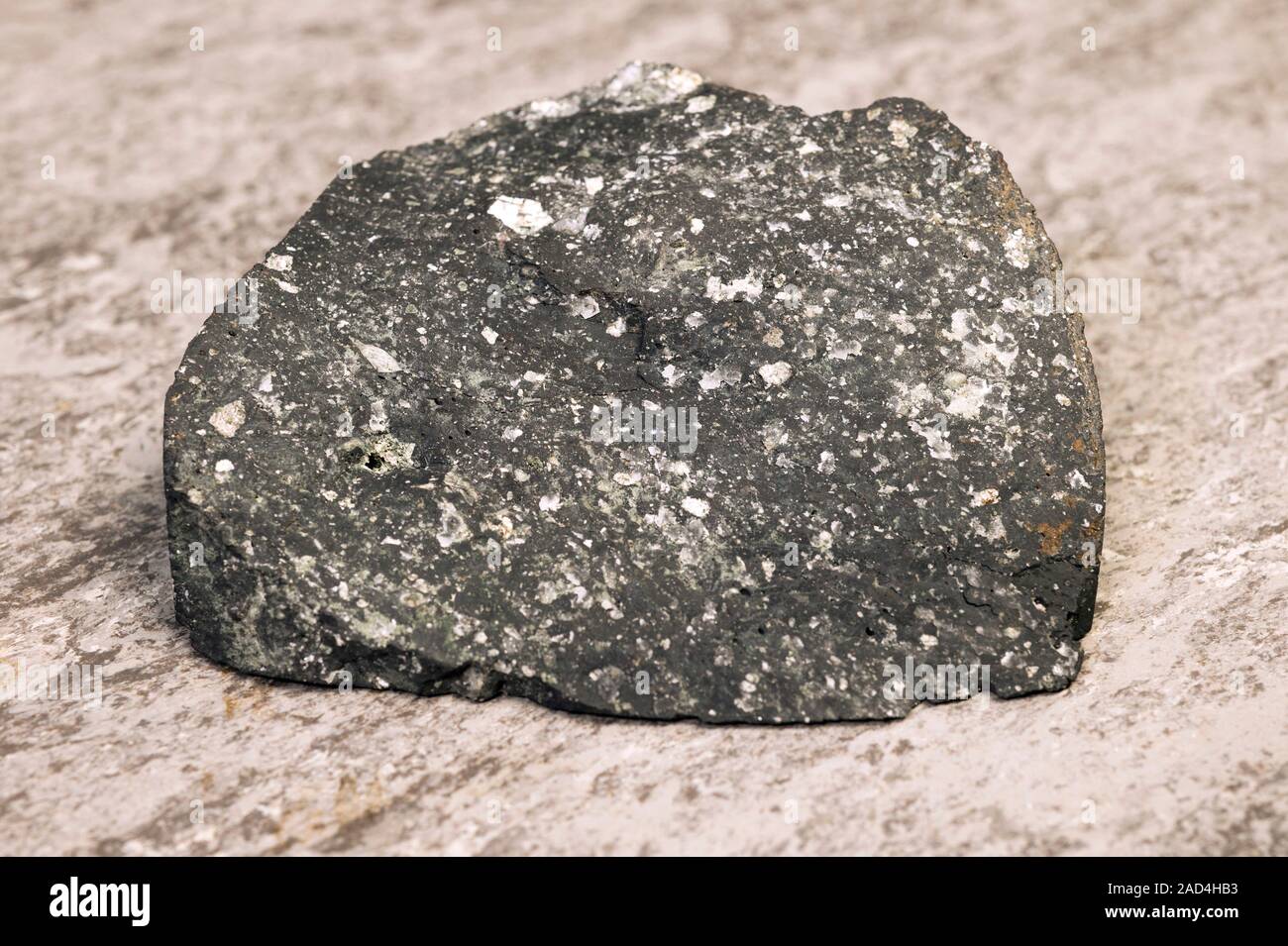 Chicxulub Crater impact sample. Specimen of impact melt rock with ...