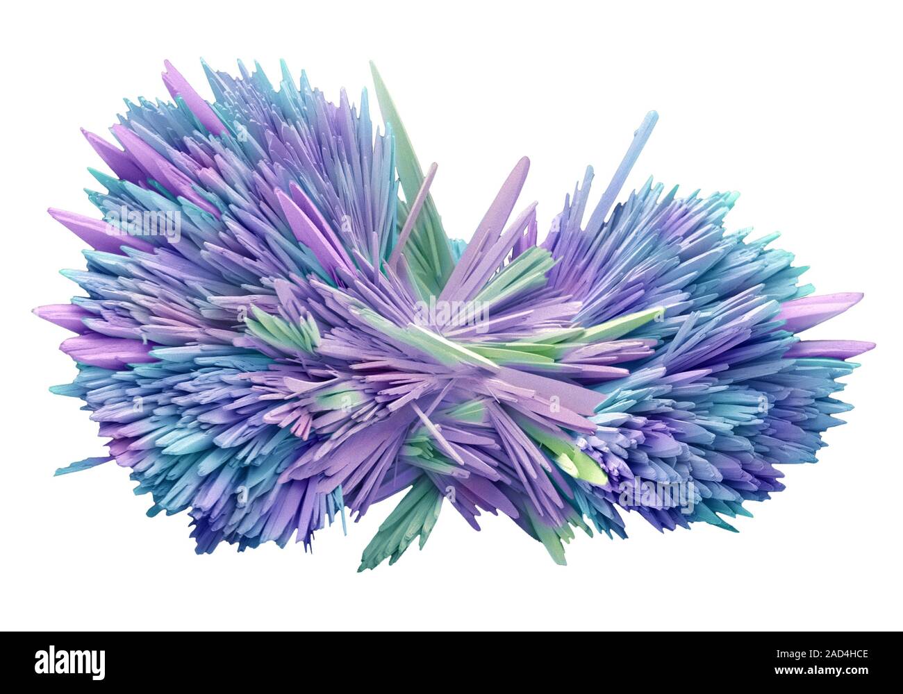 Bronchodilator drug crystals, coloured scanning electron micrograph ...