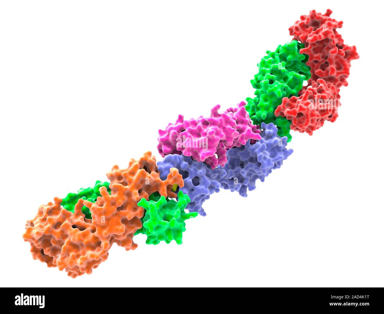 Crystal structure of a cross-Reactive HIV-1 neutralizing CD4-binding ...