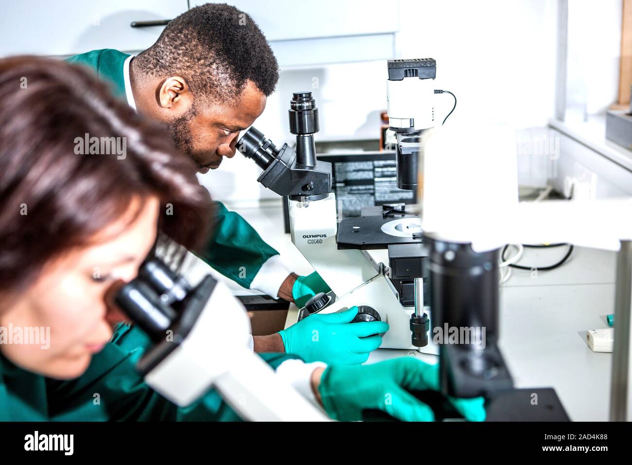 Laboratory microscopy. Researchers using light microscopes to study ...