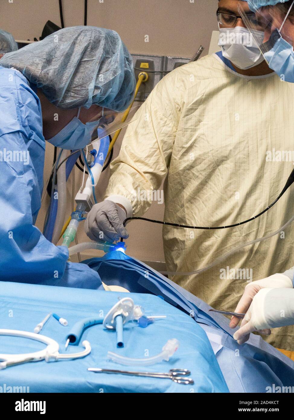 Bronchoscopy during a tracheostomy. Surgeon carrying out a bronchoscopy ...